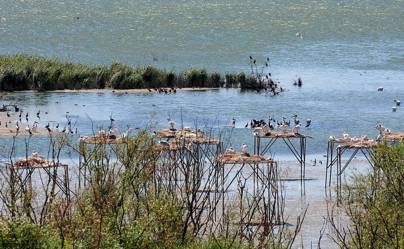 Lake Manyas (Manyas Gölü) – Balıkesir - Turkey Guide 2026