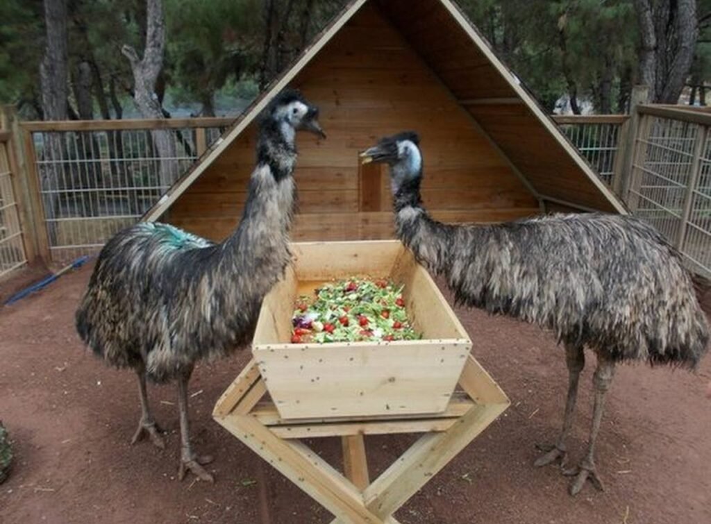 Antalya Zoo - Turkey Guide 2026